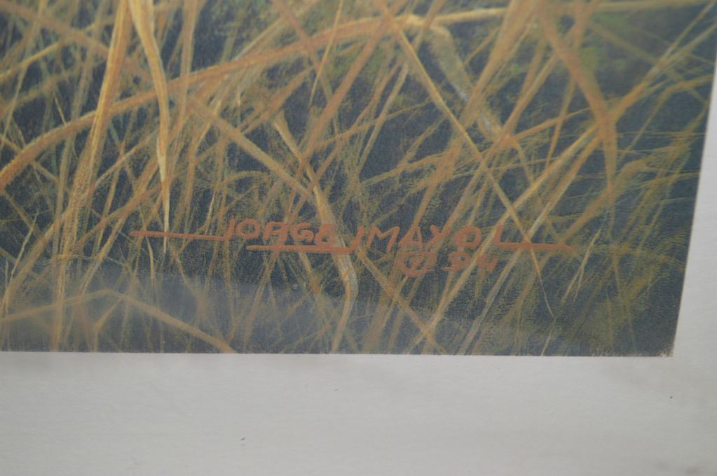 Unframed limited edition print "The Lost Coast" pencil signed by artist ...