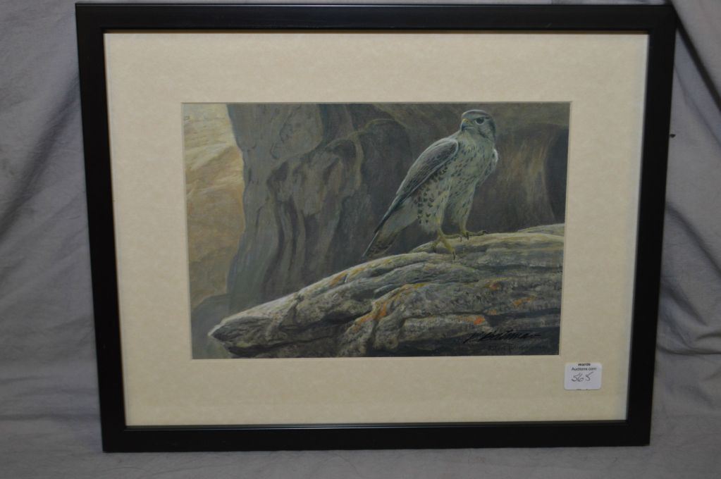 Framed Robert Bateman print "A Prairie Falcon in Writing-On-Stone ...
