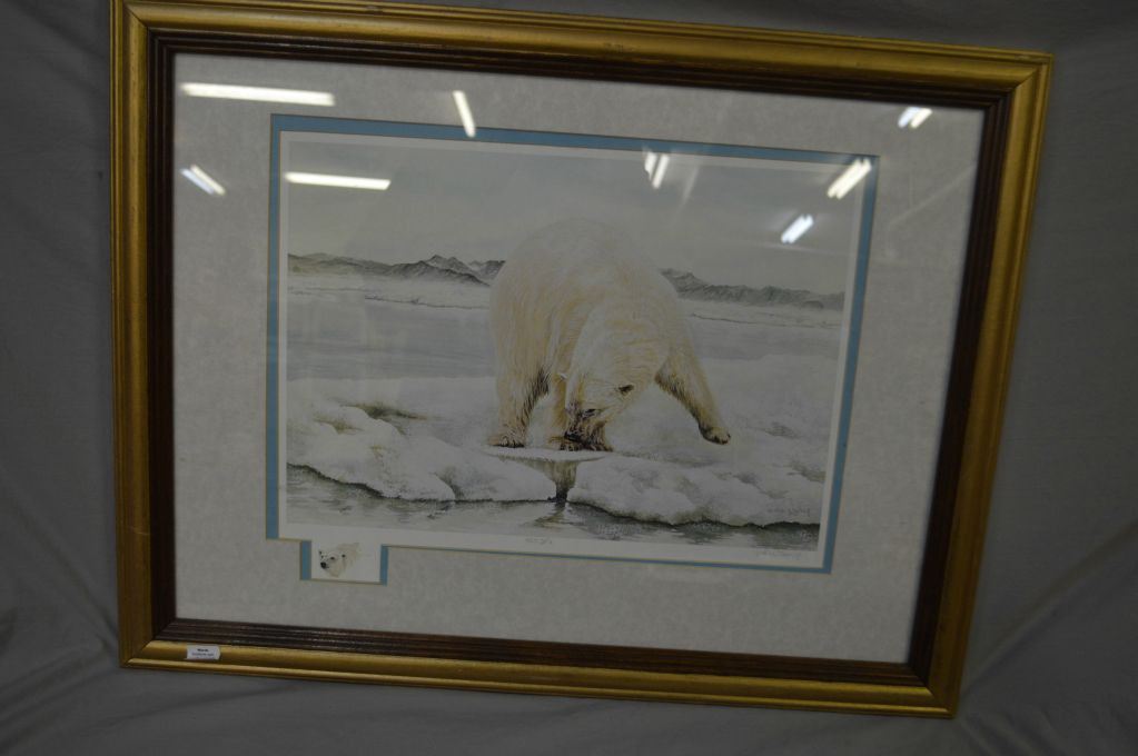Framed limited edition print of a polar bear by artist Vicki Waring ...