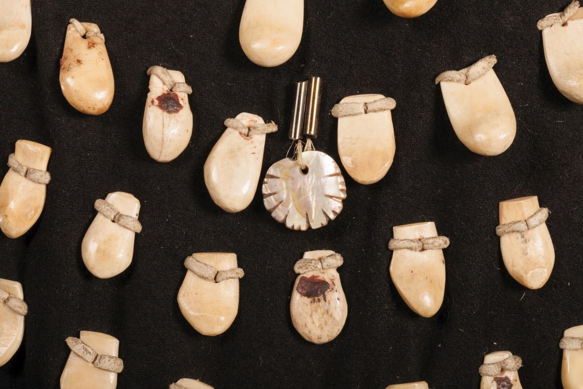 Crow Elk Tooth Dress