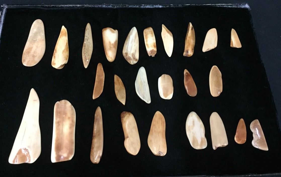 Antique Ivory / Bone– Northwest Coast