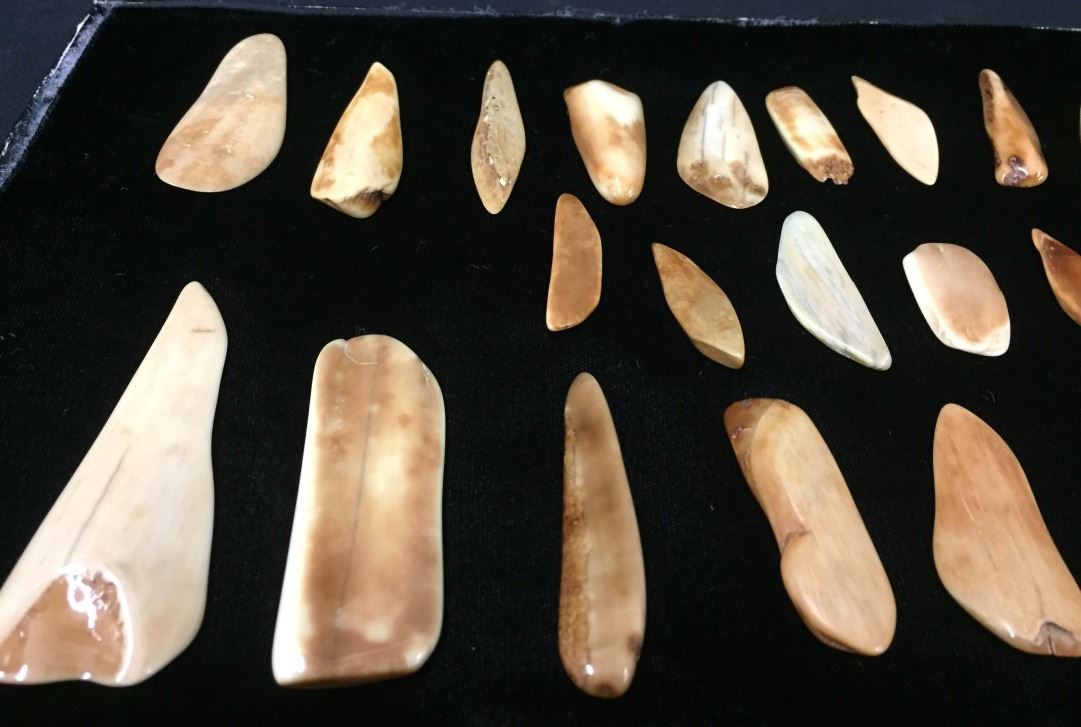 Antique Ivory / Bone– Northwest Coast