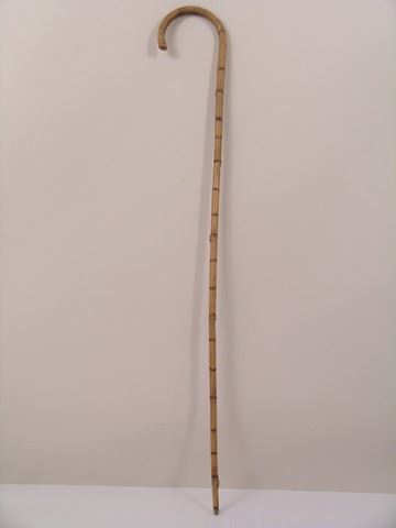 Beautiful Creatures Macon Ravenwood (Jeremy Irons) Movie Props