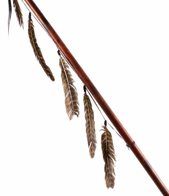 Southern Plains Indian Coup Staff 19th Century