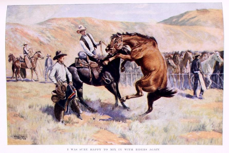 Will James Lone Cowboy & Smoky Book Collection