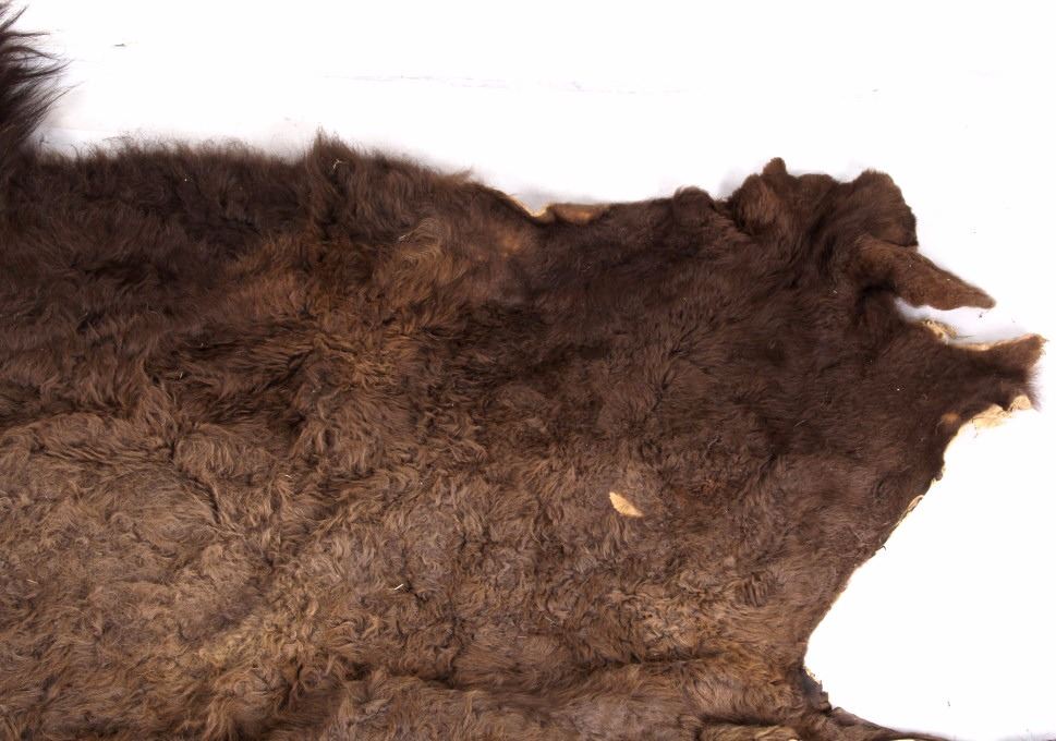 Montana Wild Buffalo Fur Hide Rug