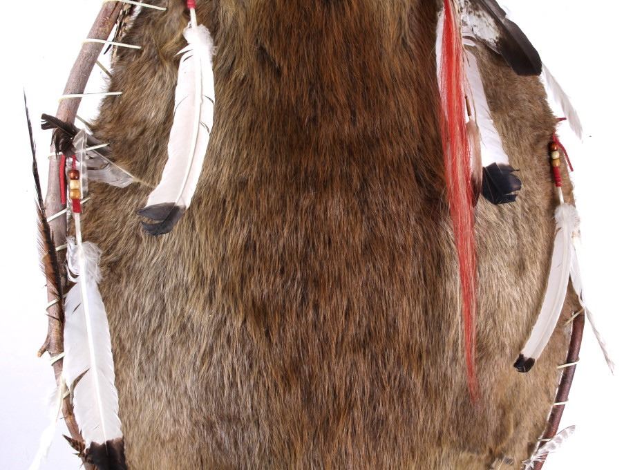 Montana Large Indian Beaver Pelt Stretched to Hoop