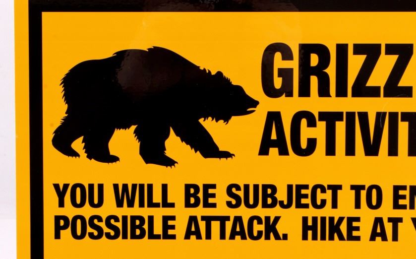 Grizzly Bear Warning Sign from Canada