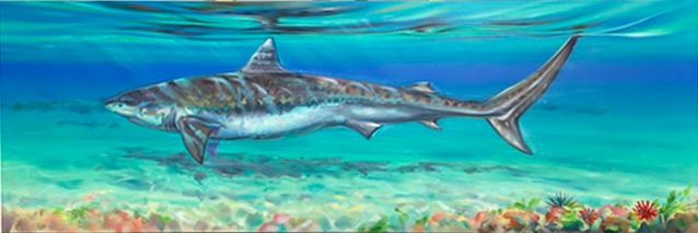 Reef Guardian - KAI Show, Patrick Ching 2017