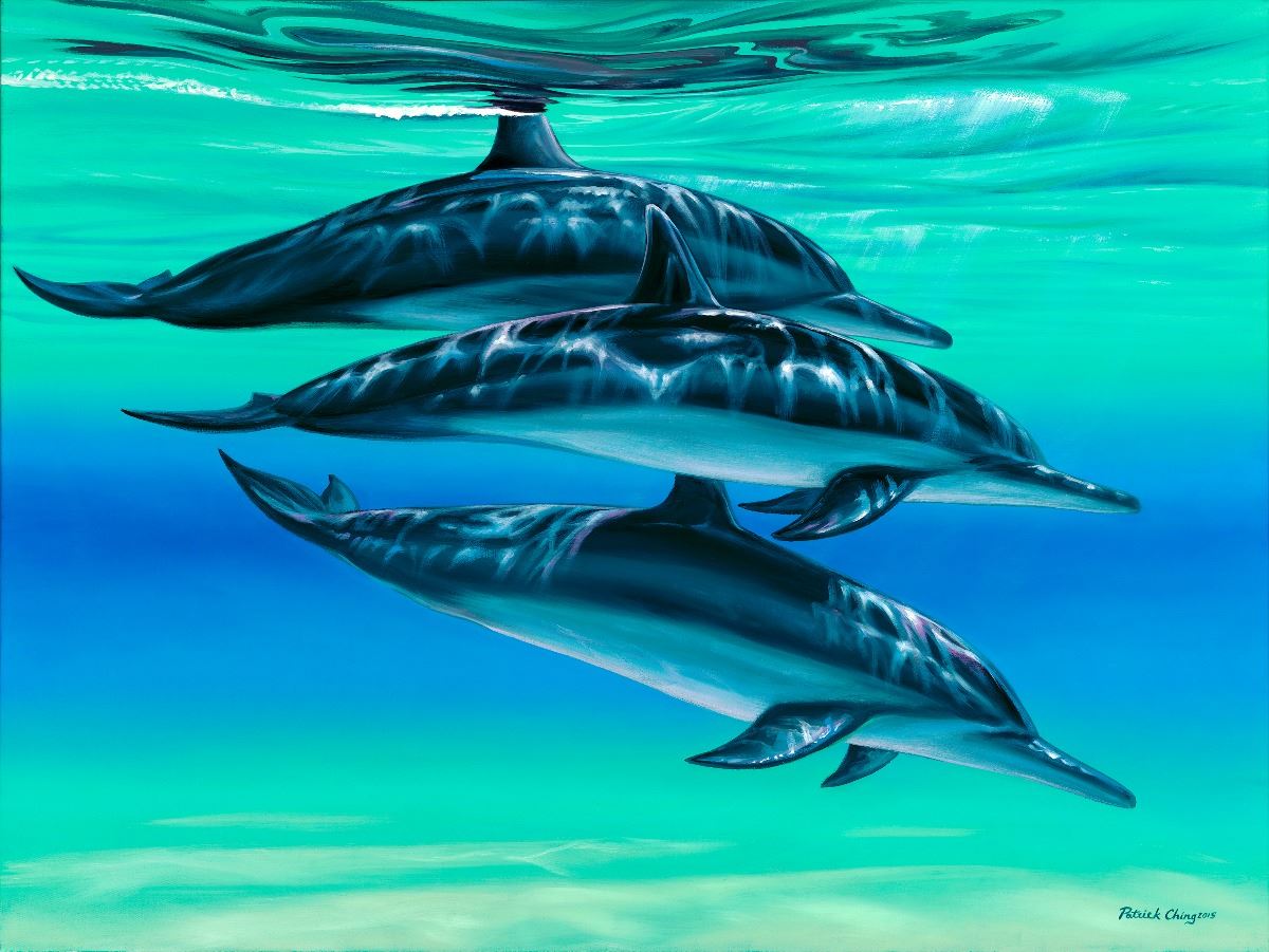 Fluid Grace - KAI Show, Patrick Ching 2017