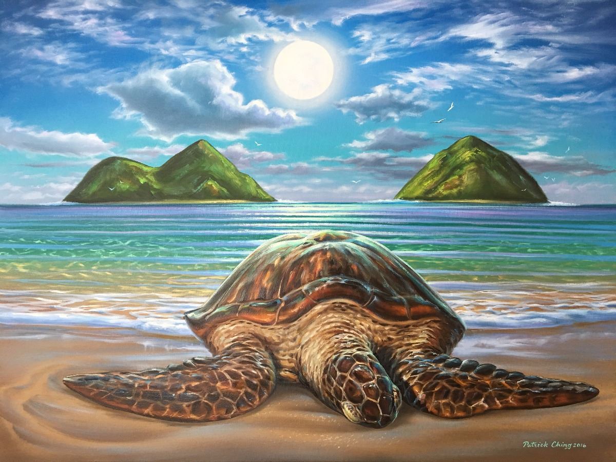 Honu Moon Mokulua - KAI Show, Patrick Ching 2017