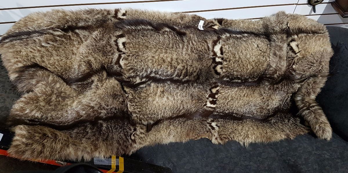 RACCOON RUG MADE FROM 12 RACCOONS