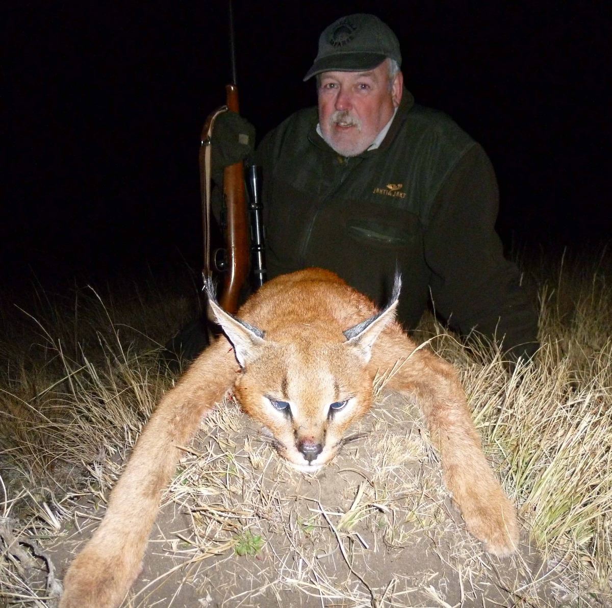 Caracal & Serval With Hounds - A very special double cat hunt in South ...