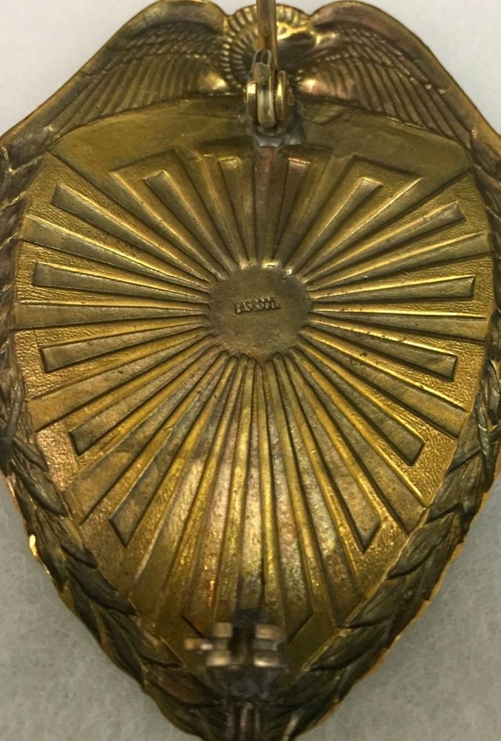 Flagstaff Arizona Police Badge