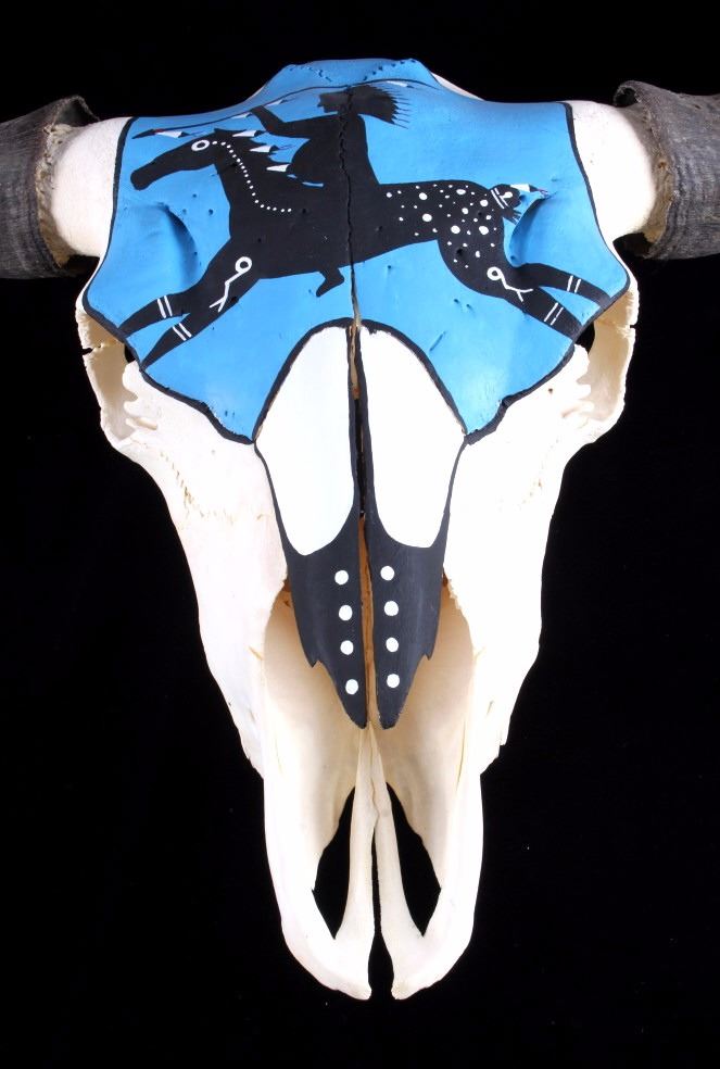 Sioux Native American Indian Painted Buffalo Skull