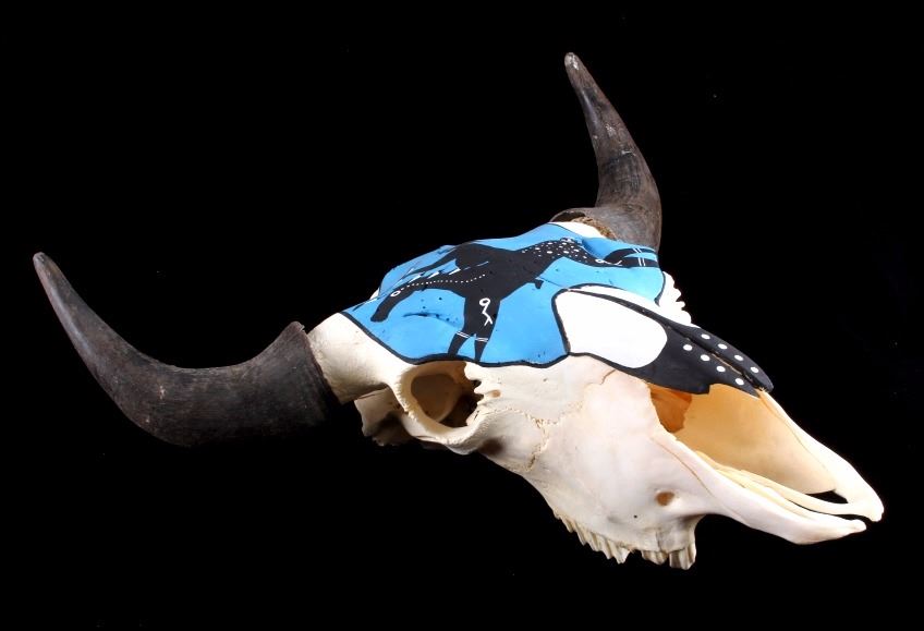 Sioux Native American Indian Painted Buffalo Skull