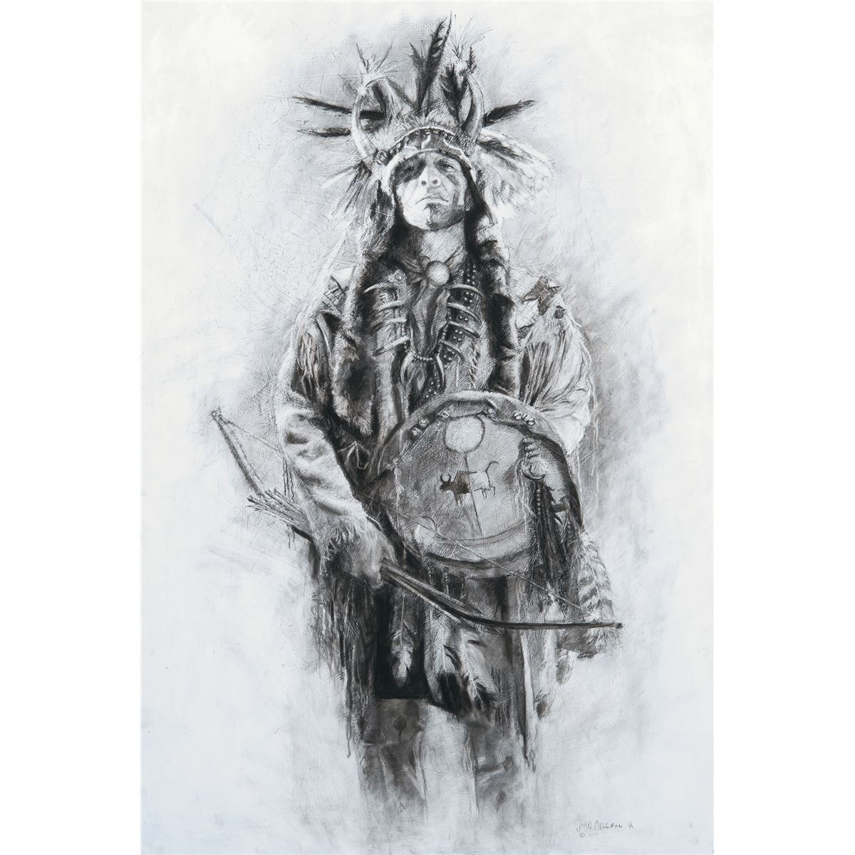 Buffalo Medicine