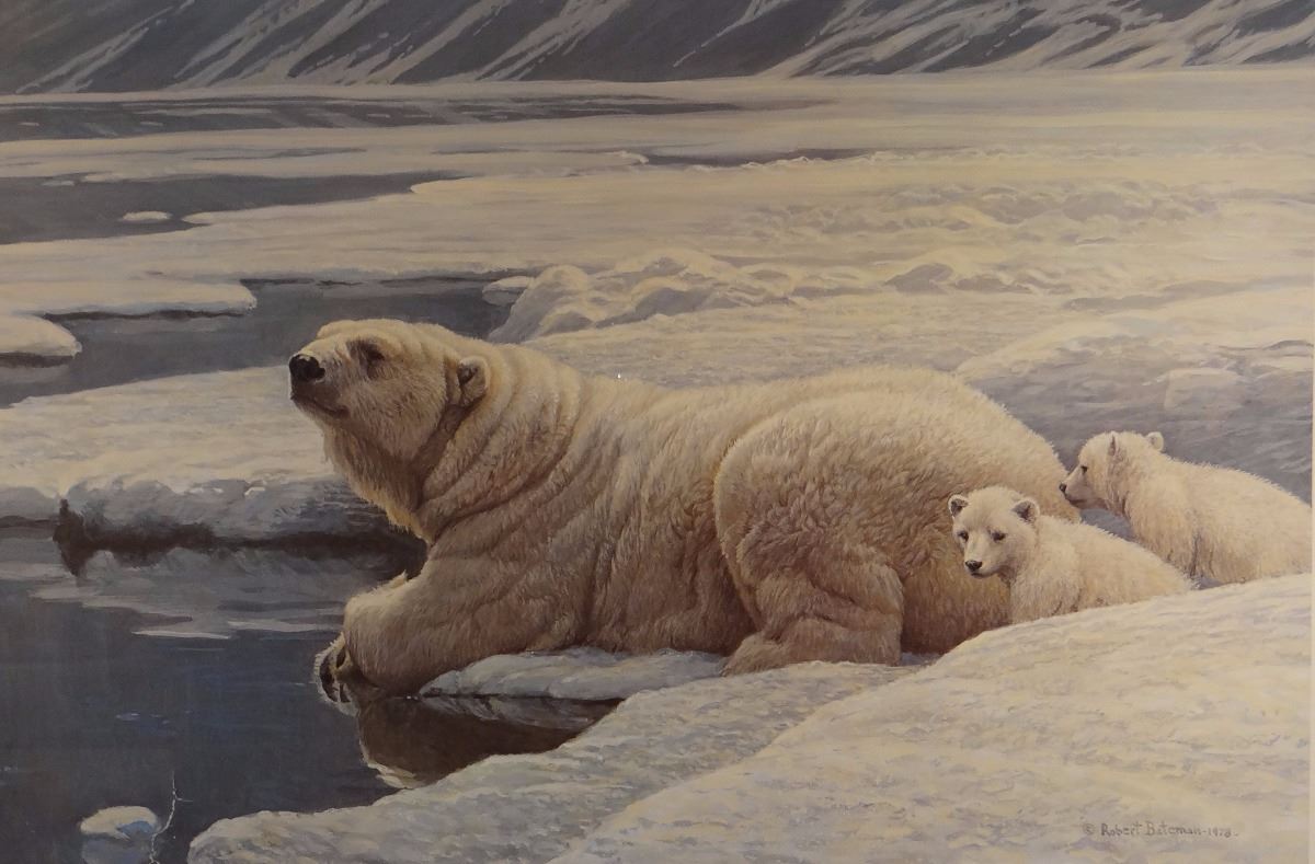 Robert Bateman, Polar Bear & Cubs, signed print, 16"x 25", framed, 1978 ...