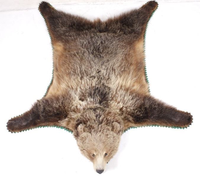 Montana Grizzly Bear Rug Trophy Rug
