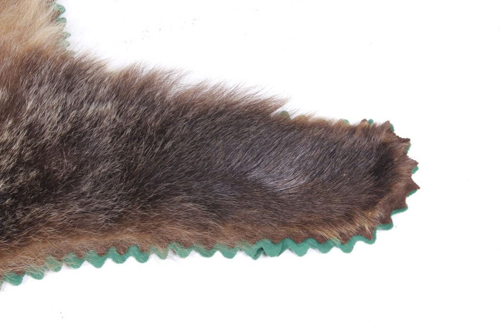 Montana Grizzly Bear Rug Trophy Rug