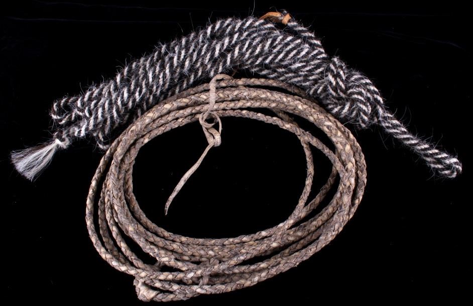 Horse hair Lead Rope & Rawhide Braided Riata