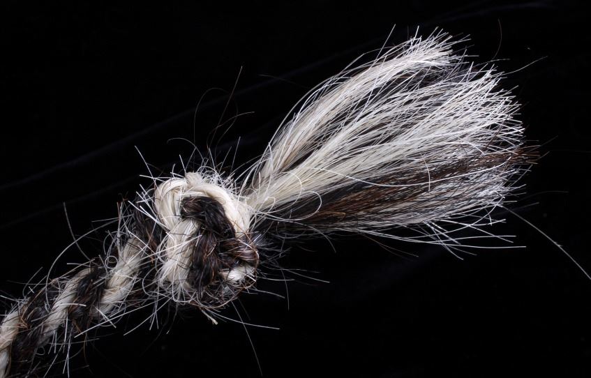 Horse hair Lead Rope & Rawhide Braided Riata