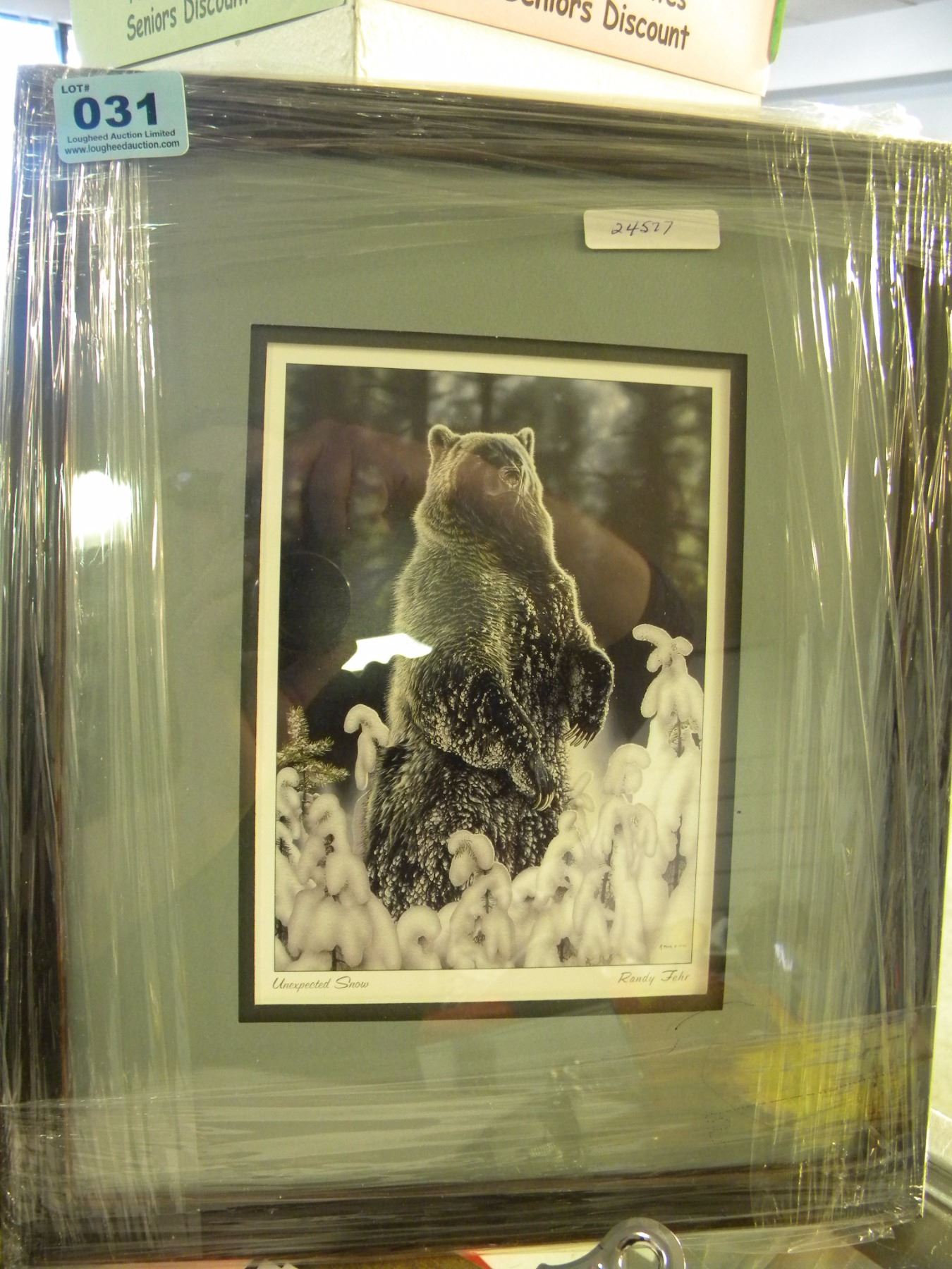 24577 NEW UNEXPECTED SNOW PRINT(BY RANDY FEHR)