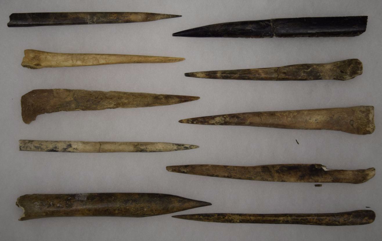 COLLECTION OF BONE AWLS