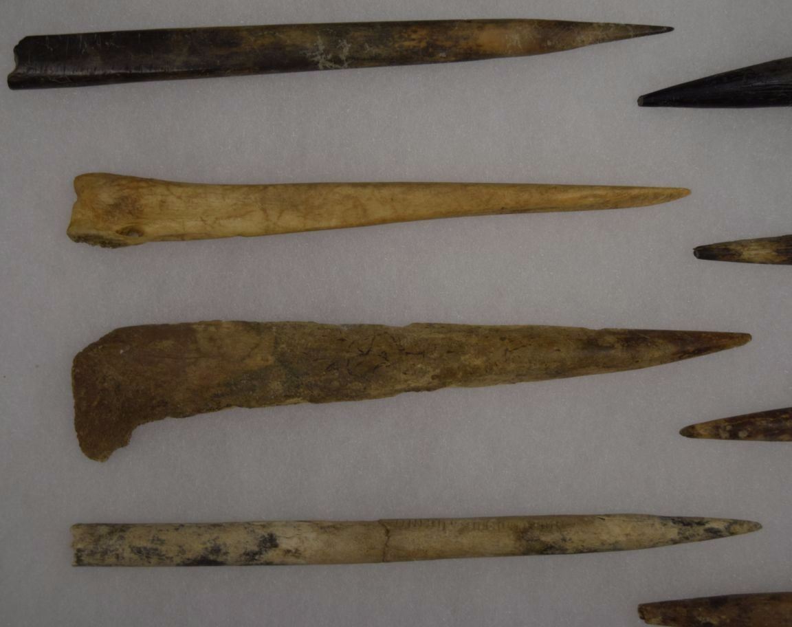 COLLECTION OF BONE AWLS