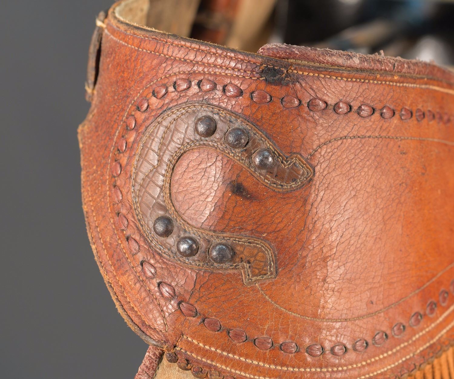 Mexican Styled Fancy Charro Chaps