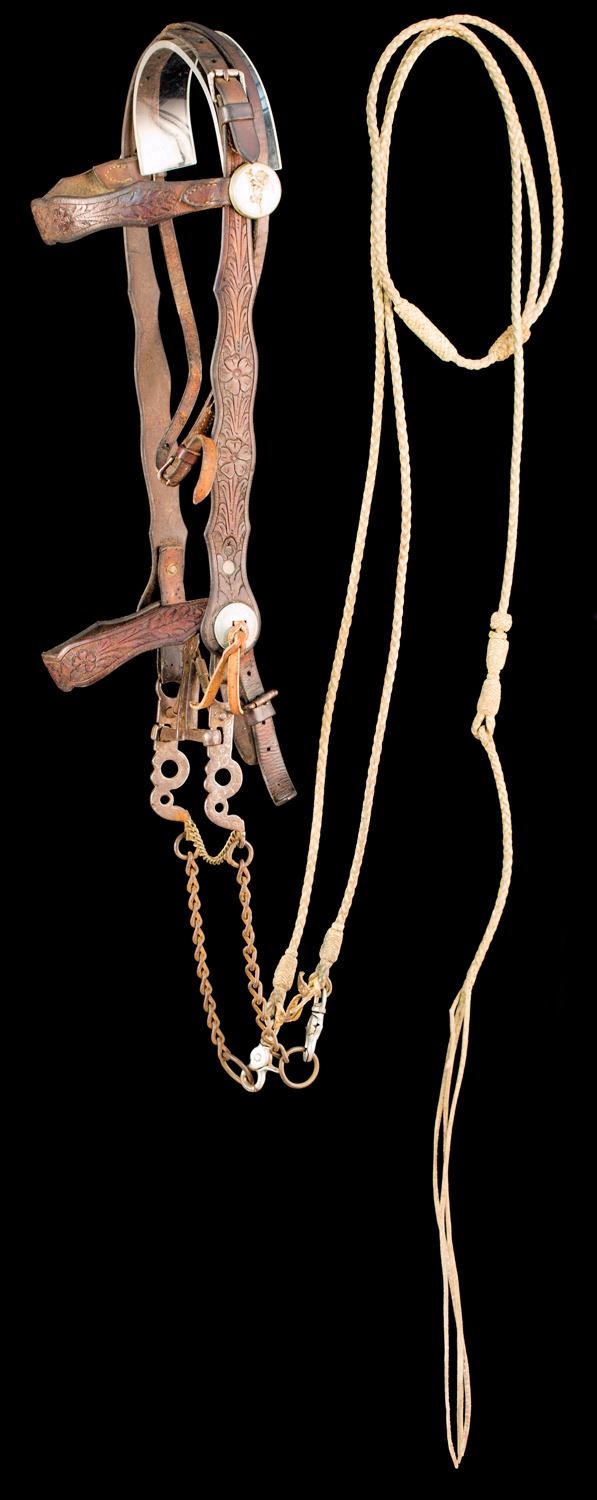 Early Bridle and Bit