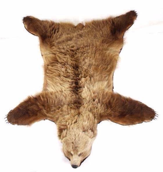 Kodiak Grizzly Brown Bear Trophy Large Rug RARE