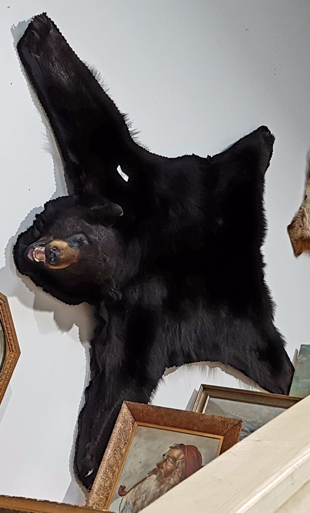 BEAUTIFUL BLACK BEAR SKIN RUG
