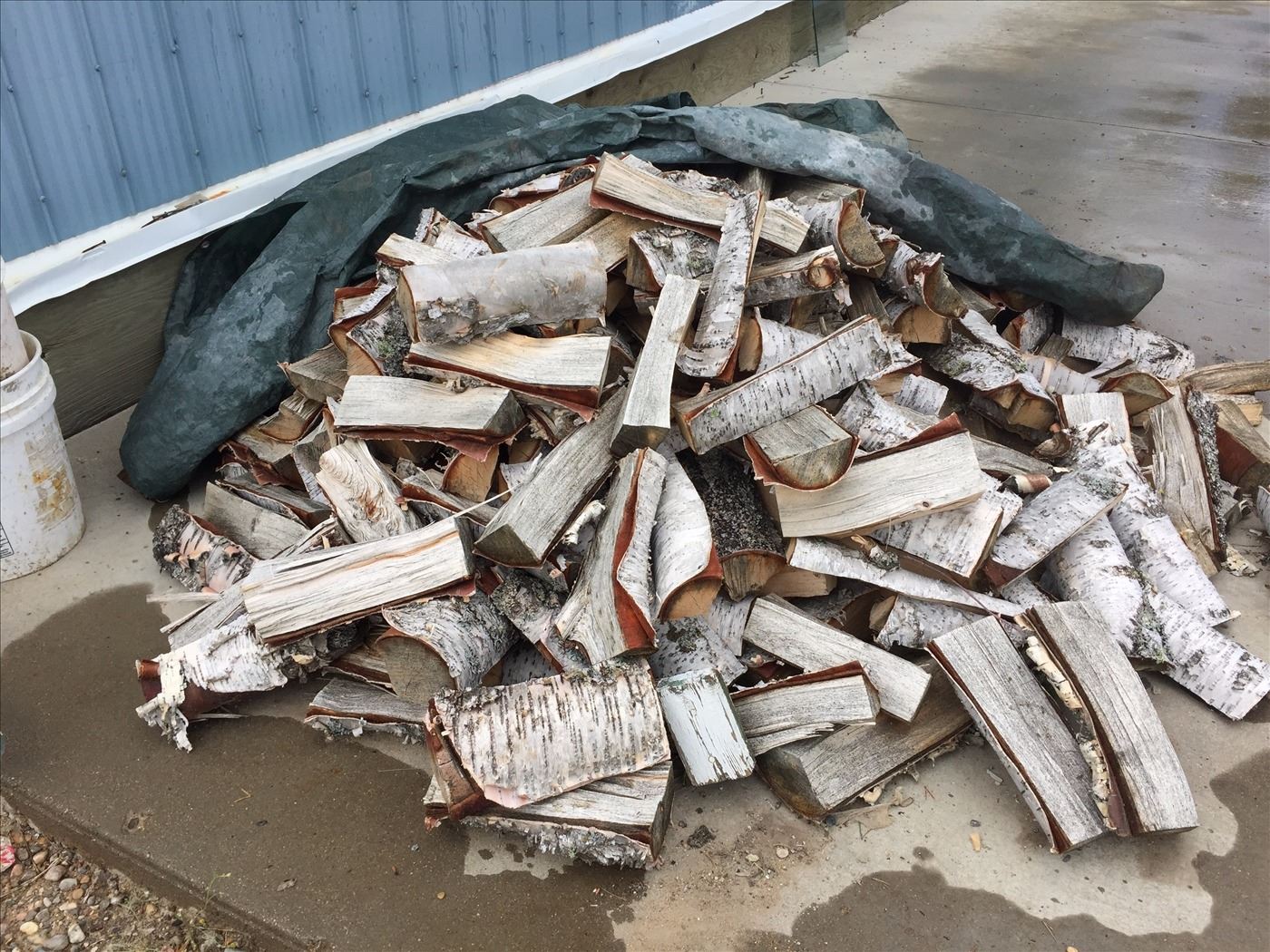 Approx Half cord of birch fire wood