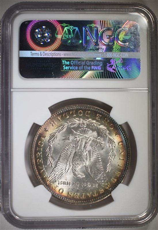 1887 TOP-100 MORGAN SILVER DOLLAR VAM-12A DDO GATOR & CLASH NGC MS 65