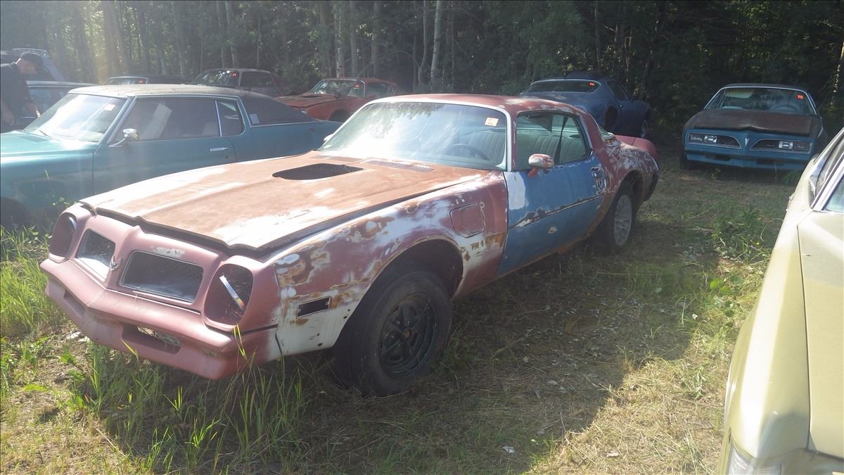 1976 PONTIAC TRANS AM AN ORIGINAL 400 CID WITH AUTOMATIC CAR. RARE ...
