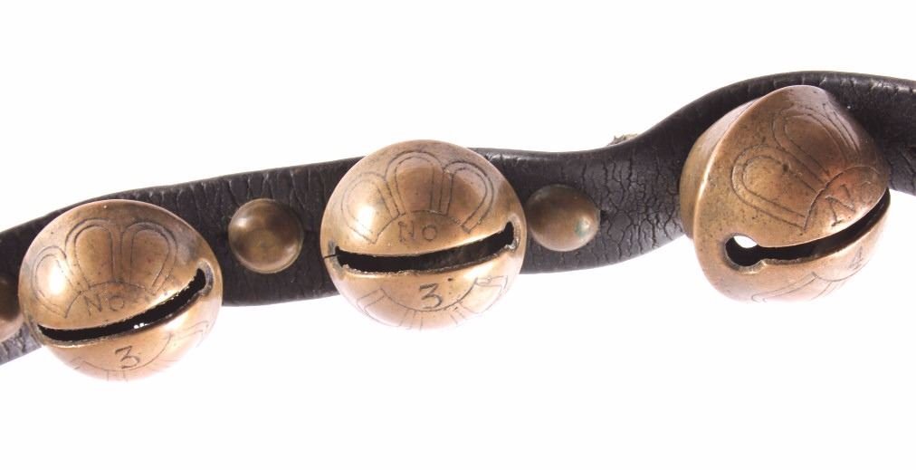 Cheyenne Native American Indian Dance Bells