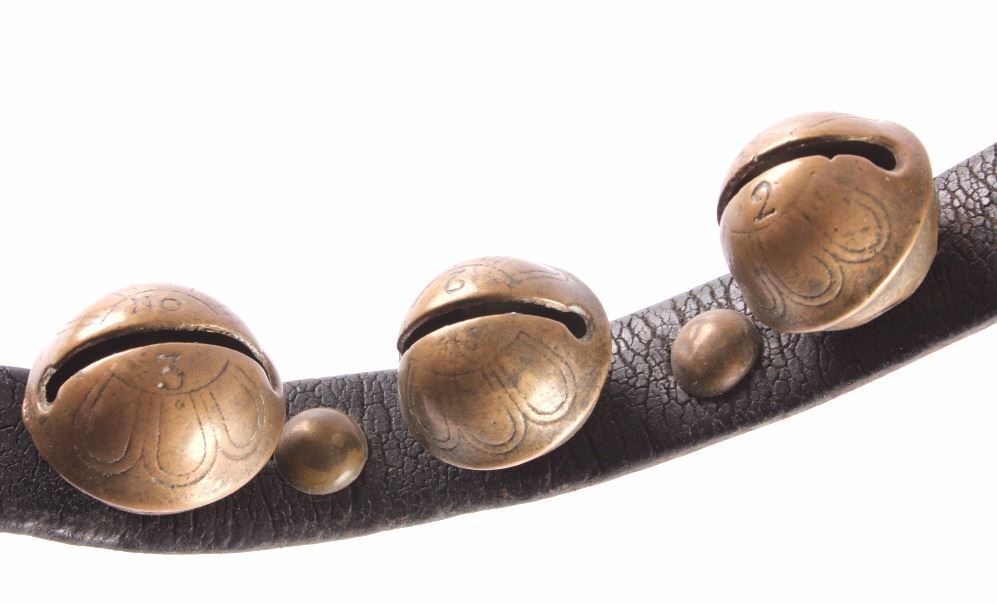 Cheyenne Native American Indian Dance Bells