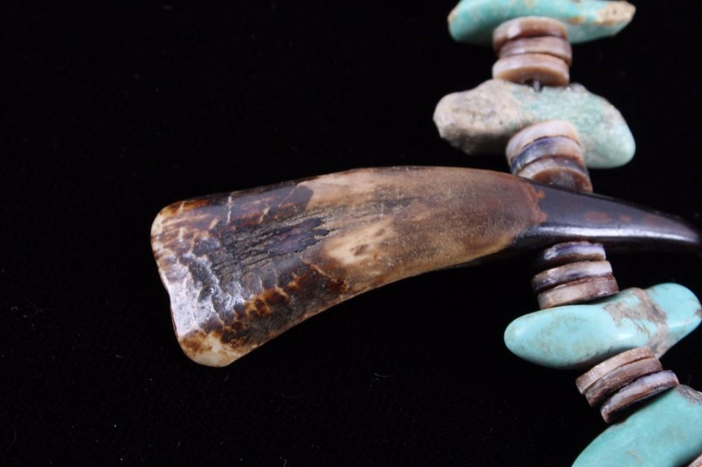 Navajo Petrified Buffalo Teeth Turquoise Necklace