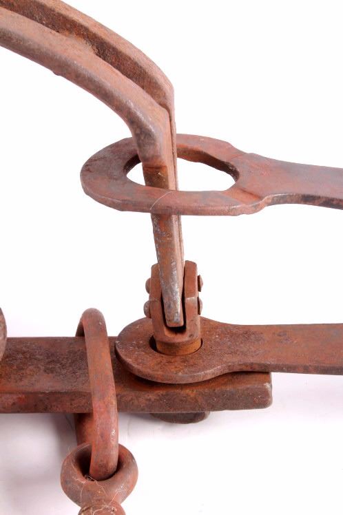 Oneida Newhouse No.15 Double Spring Bear Trap