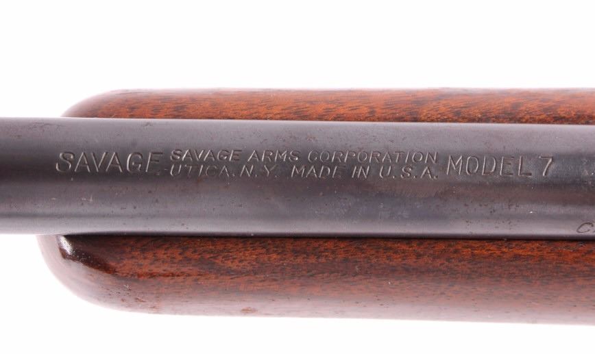 Savage Model 7 .22 Semi-Automatic Rifle
