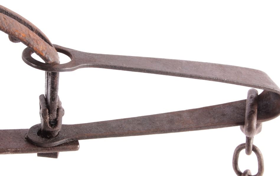 Oneida Newhouse No. 14 Double Spring Wolf Trap