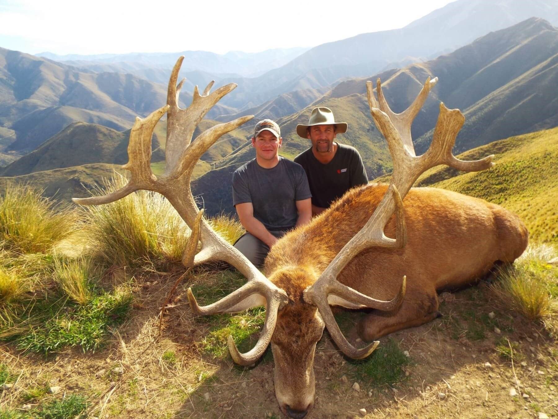 New Zealand Red Stag Hunt
