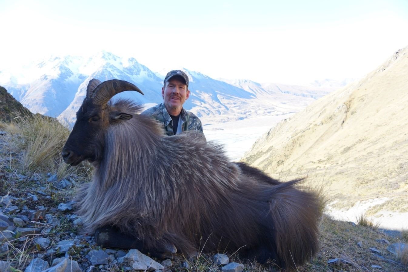 New Zealand Himalayan Bull Tahr Hunt