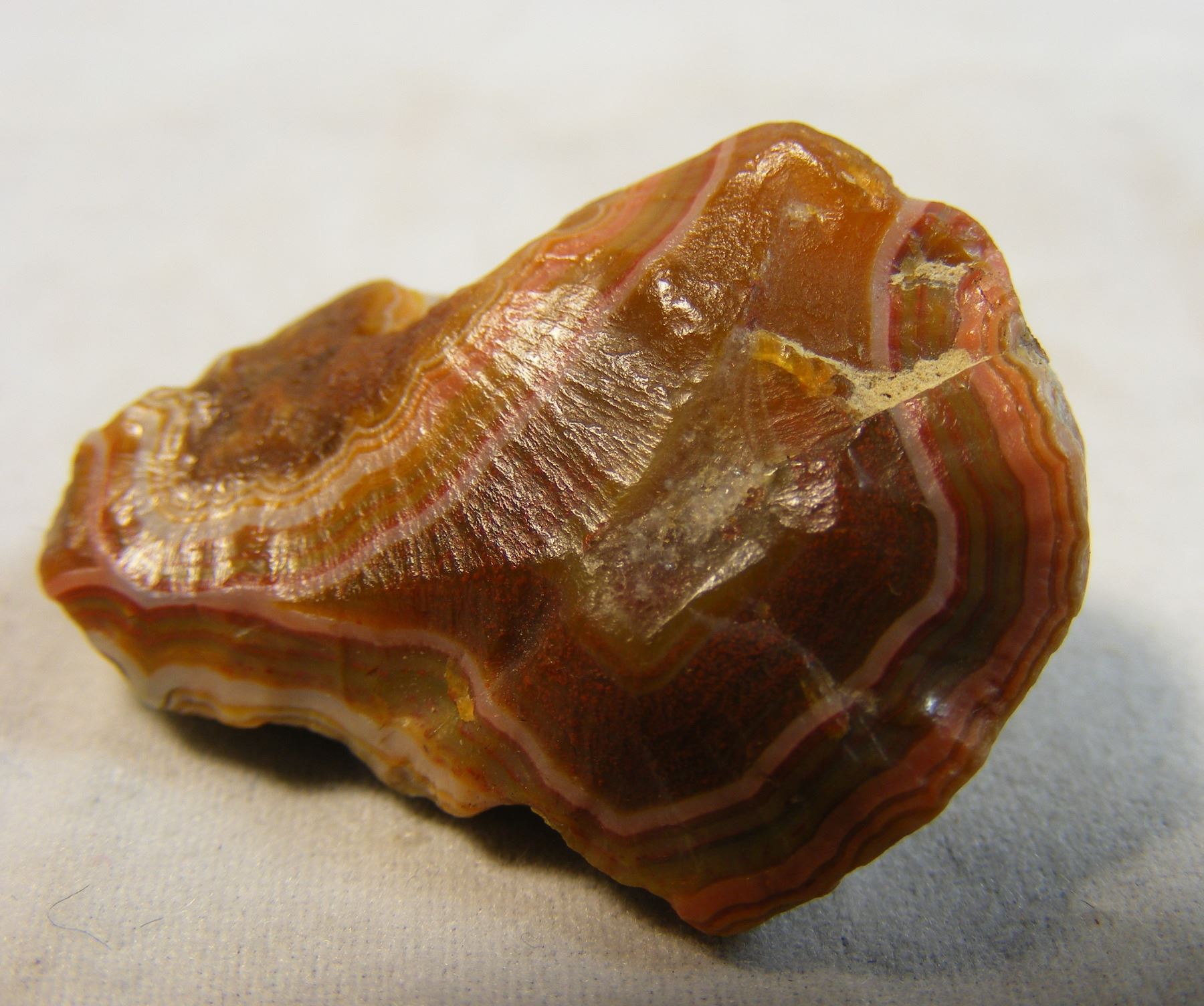 Gemmy Fairburn Agate from South Dakota