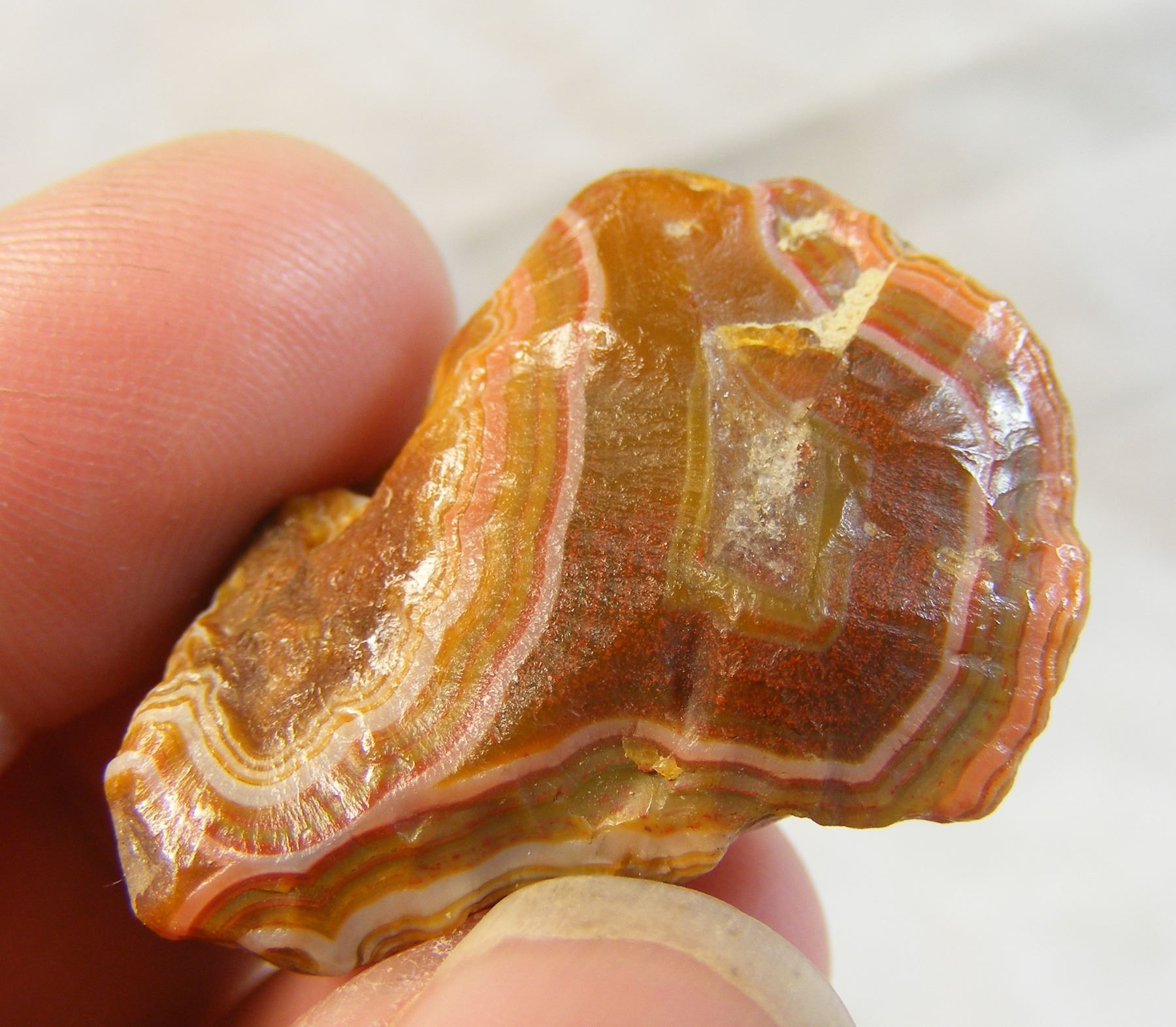 Gemmy Fairburn Agate from South Dakota