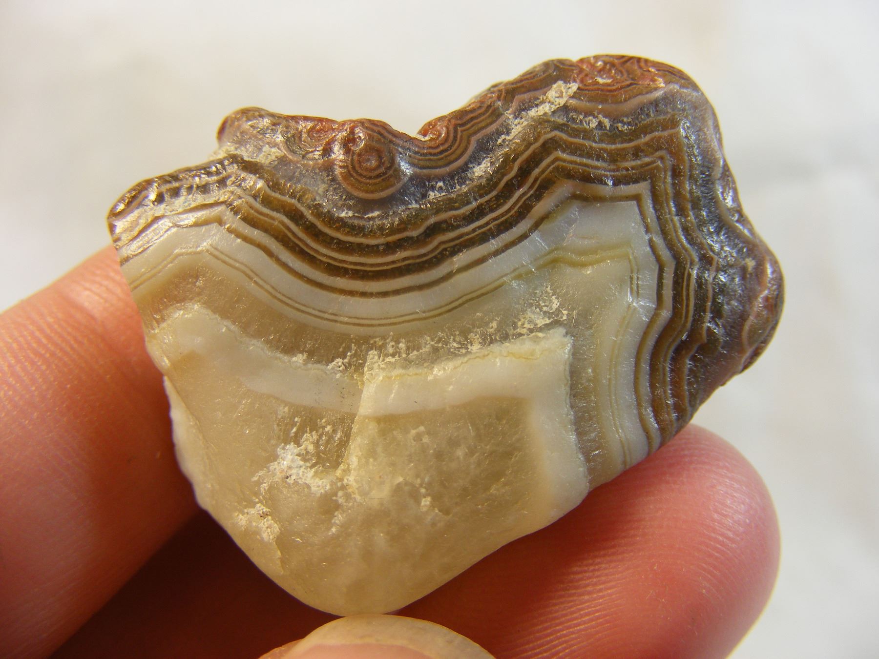 Fairburn Agate from South Dakota