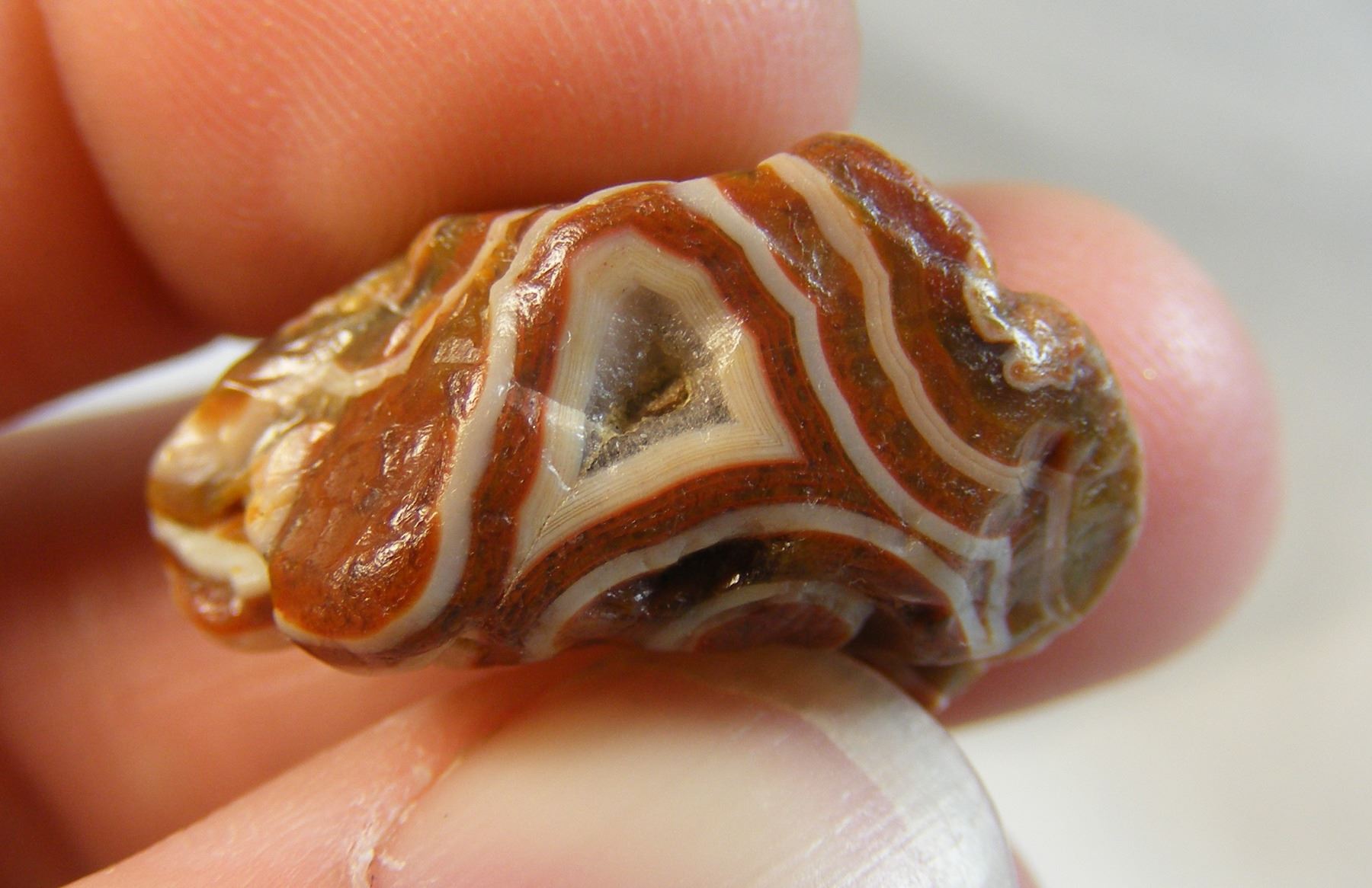 Jewelry Ready Fairburn Agate from South Dakota