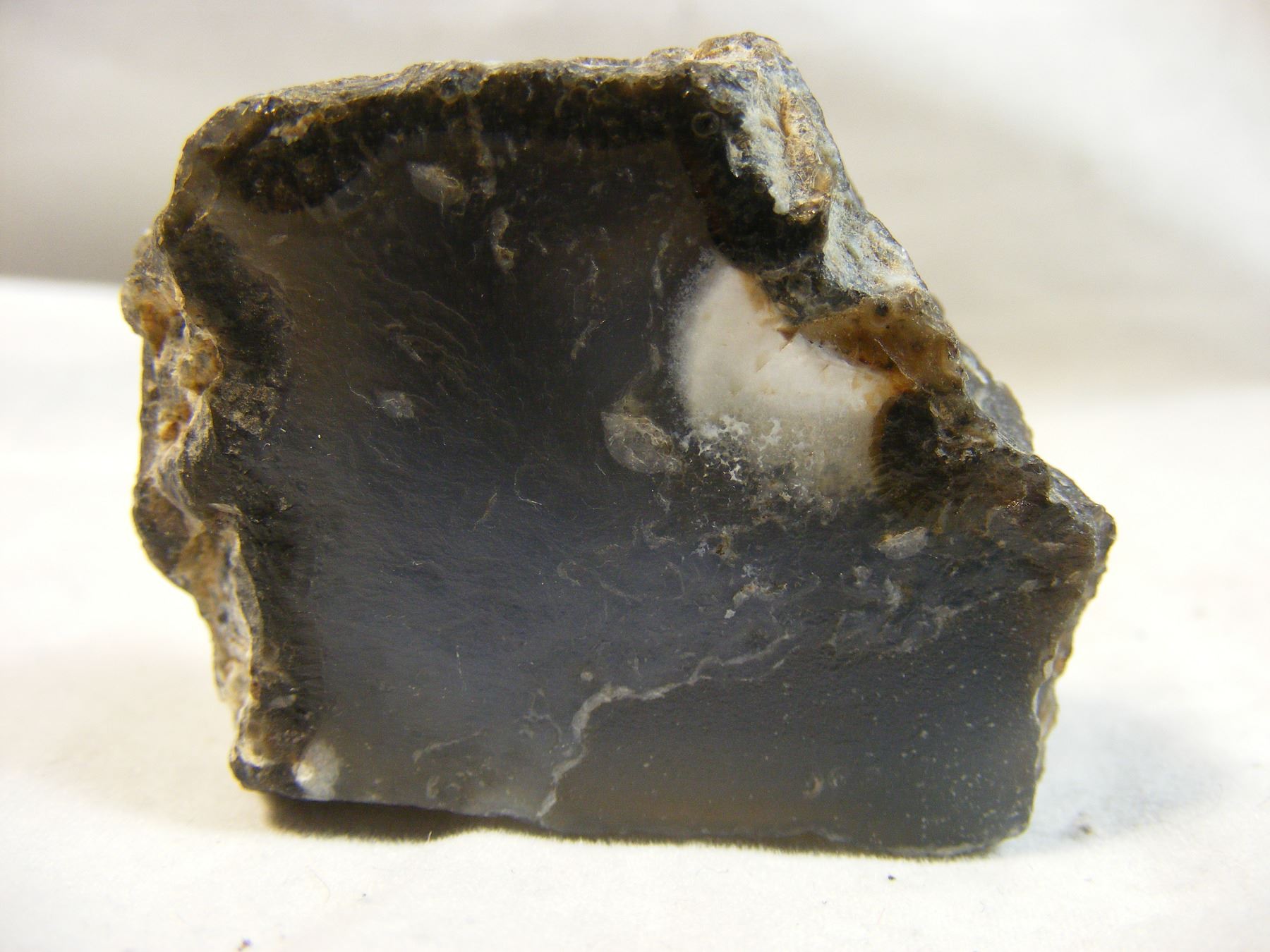 Scenic Black Agate from South Dakota