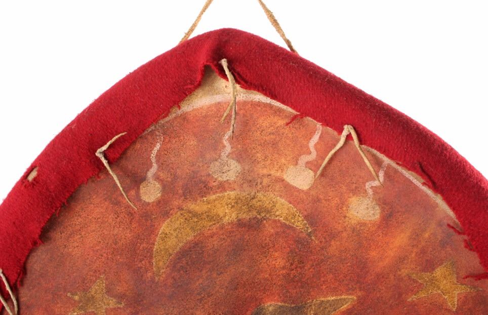 Lakota Sioux Native American Indian War Shield